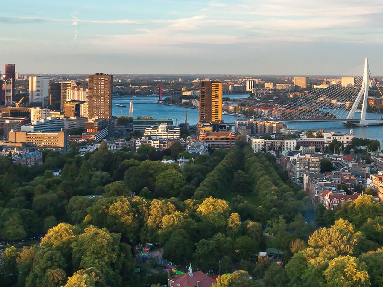 WTH is uw kennispartner - WTH